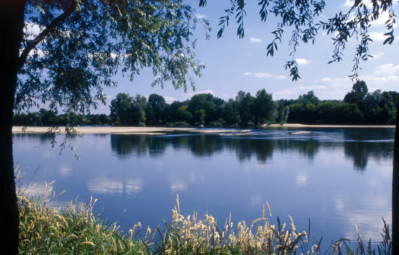 Paysage de Loire | Fédération des Maisons de Loire